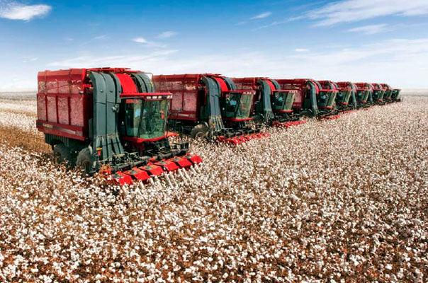 Cuidado maior na colheita – Revista Rural