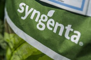 Syngenta Seeds anuncia dez novas cultivares – Revista Rural